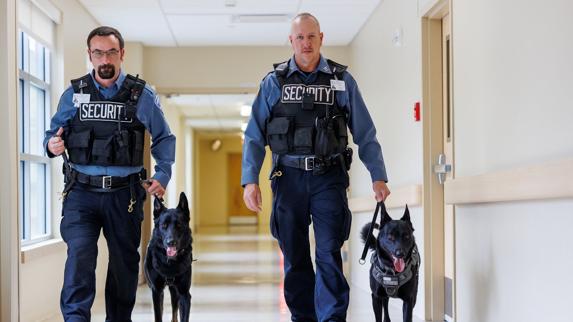 Areas of Need - K-9 Security | Friends of Bassett