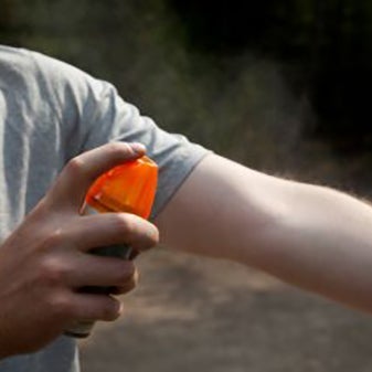 Mosquito Management 101: 4 Tips for Stopping those Risky Bites ...